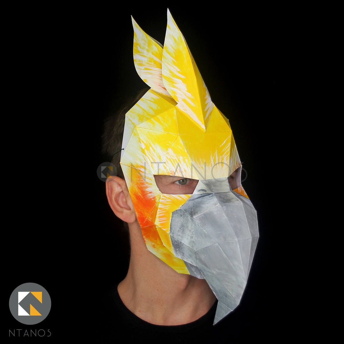 Parrot Mask | Animal Mask Template By Ntanos | Instant Download