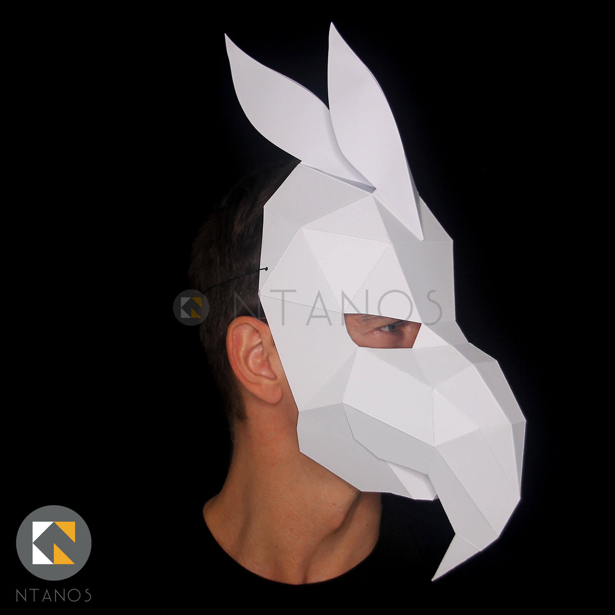 Parrot Mask | Animal Mask Template By Ntanos | Instant Download